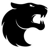 FURIA Esports — SiegeGG